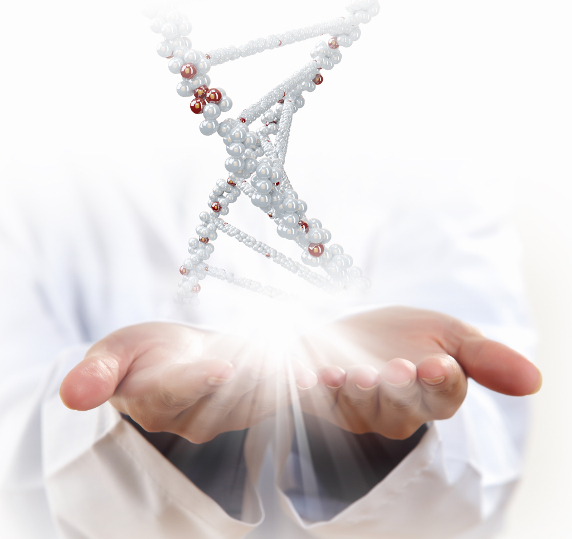 Cell-Innovations Masterclass - Cell-Innovations - Cell-Innovations